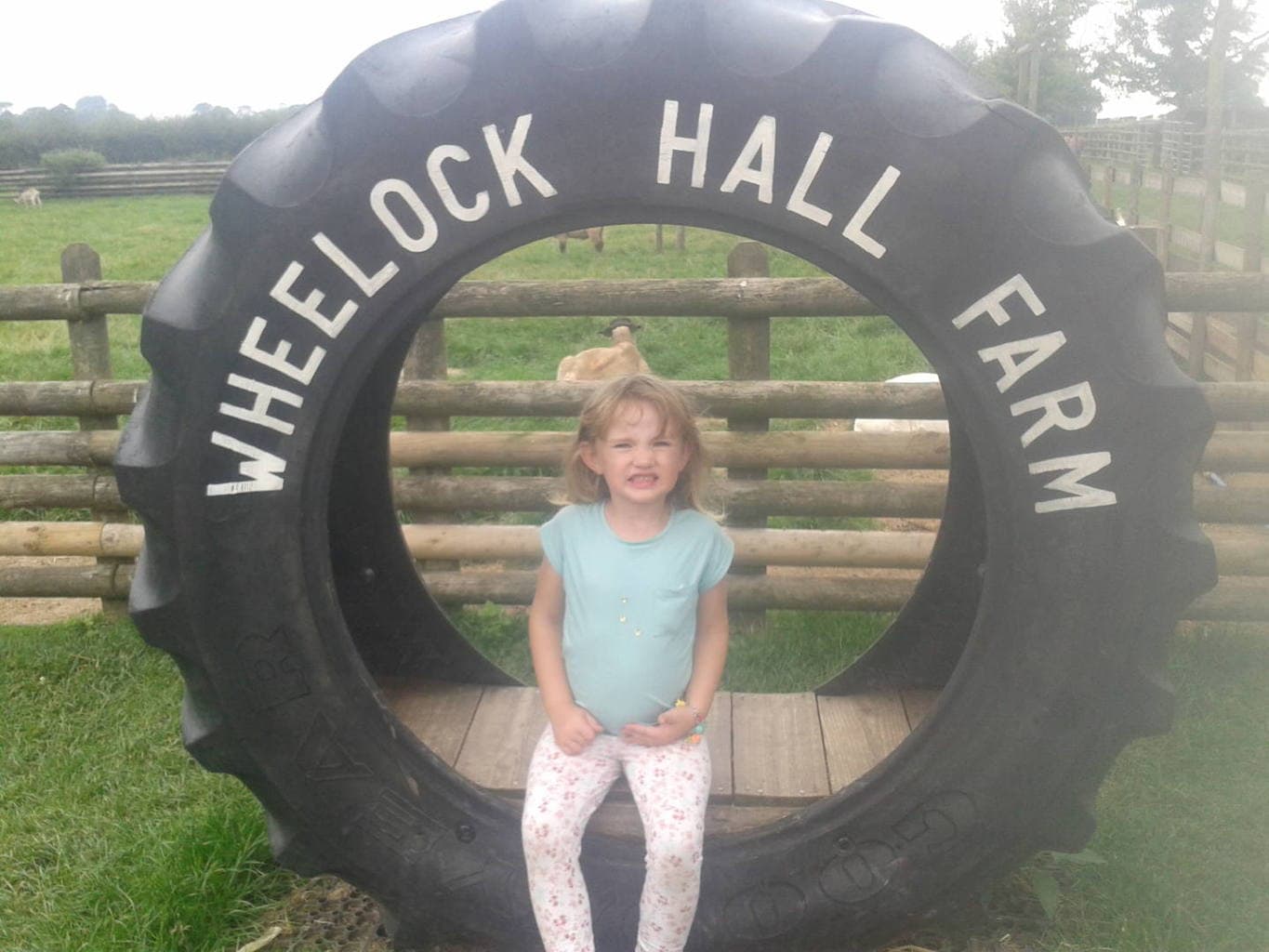 Wheelock Farm, Sandbach - A 'wheely good day out' - Mini Travellers ...