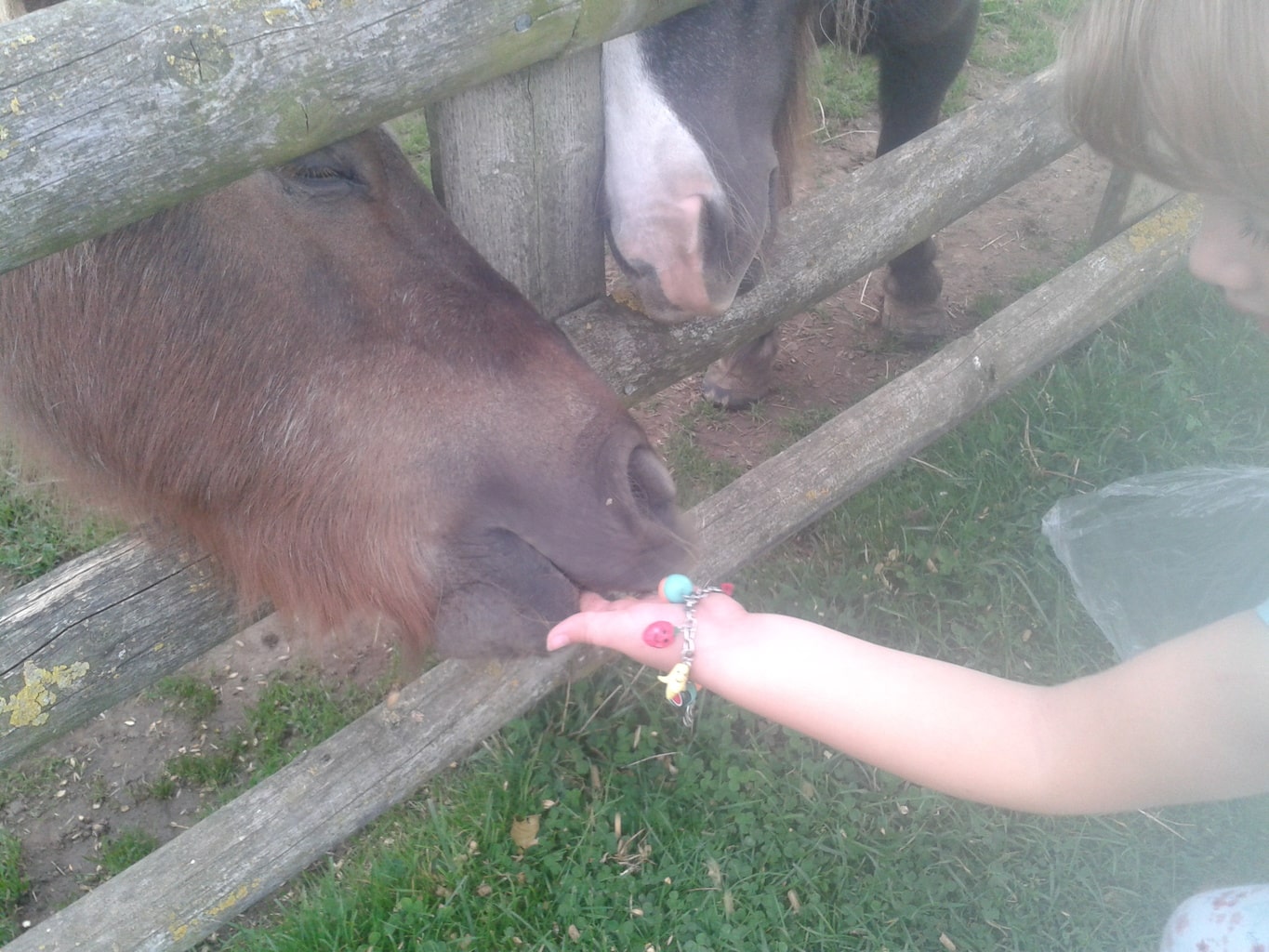 Wheelock Farm, Sandbach - A 'wheely good day out' - Mini Travellers ...