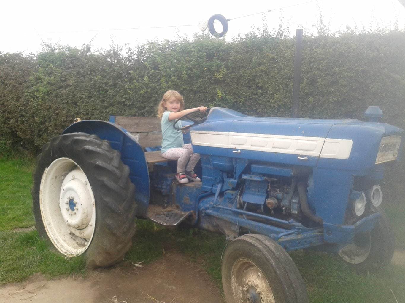 Wheelock Farm, Sandbach - A 'wheely good day out' - Mini Travellers ...