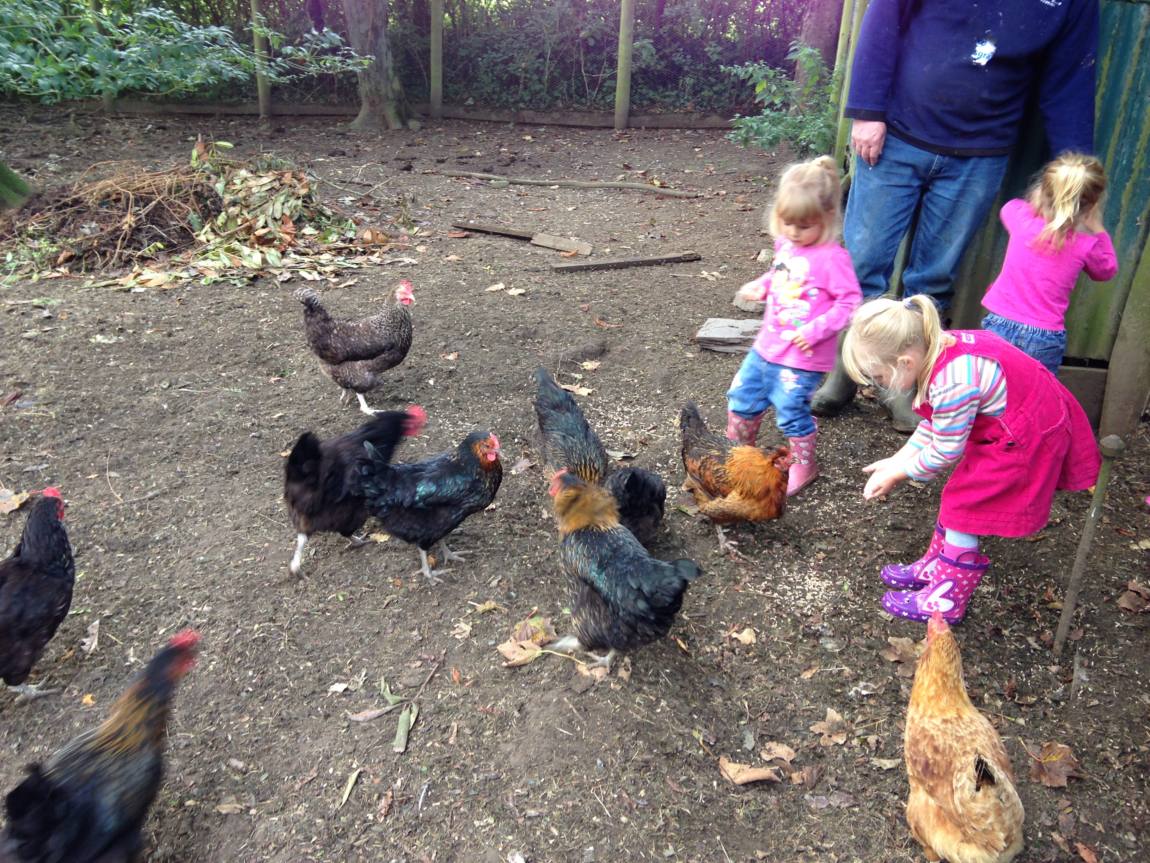 Gwynfryn Farm, Pwllheli, Llyn Peninsula - Mini Travellers - Family ...
