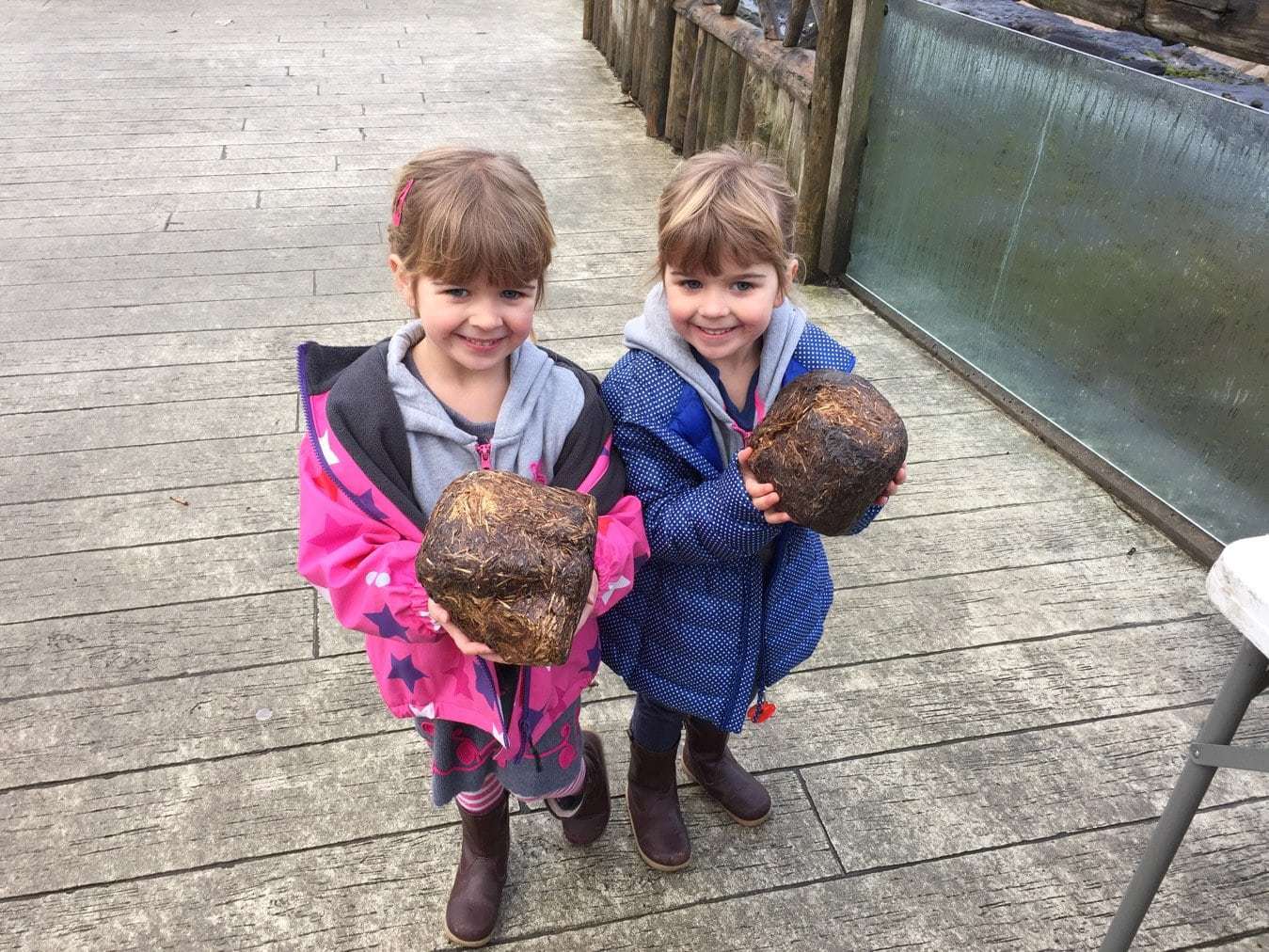 Why you should visit Chester Zoo in Winter - Mini Travellers - Family ...