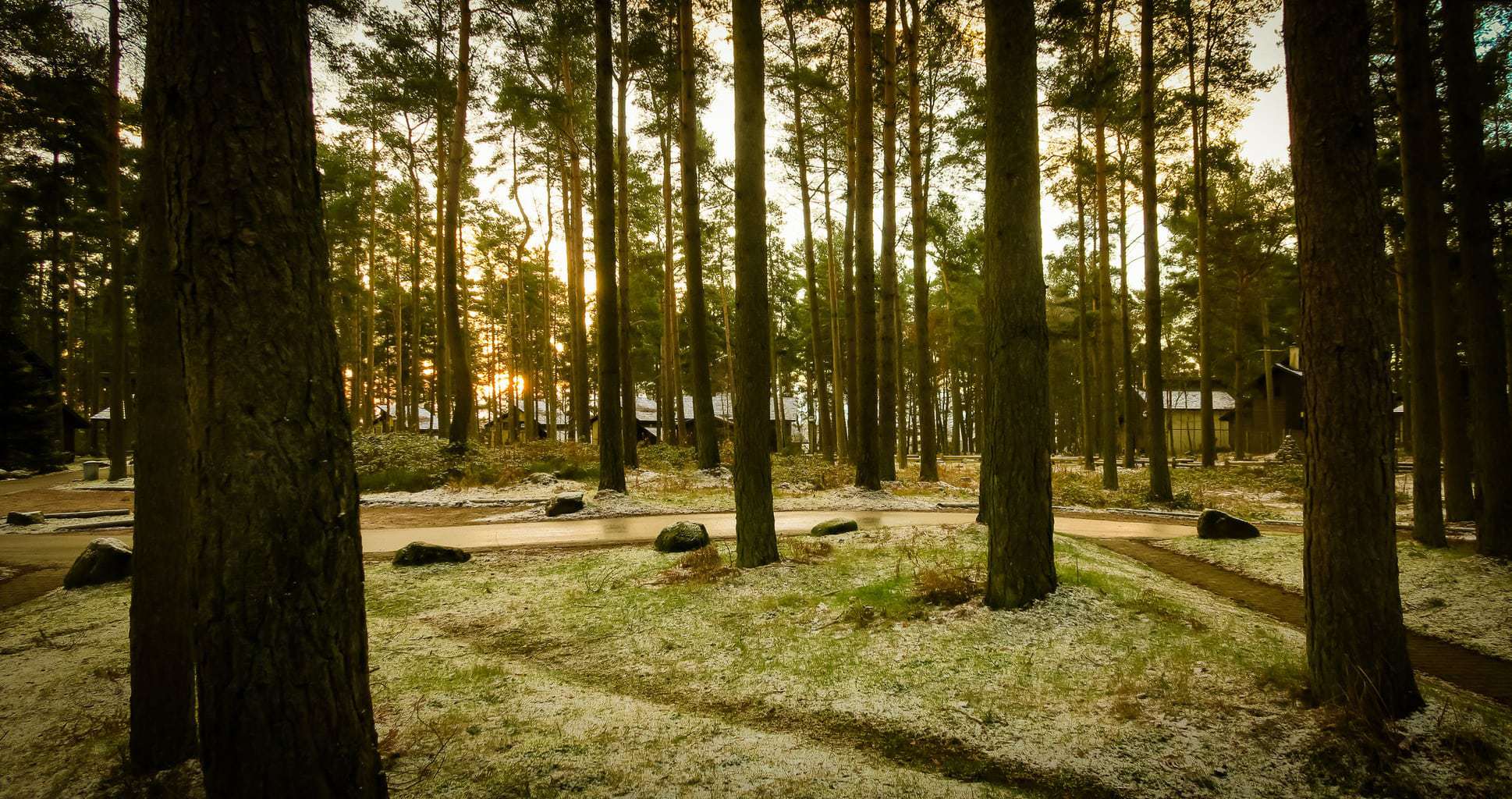 Which month is the best month to go to Center Parcs? - Mini Travellers ...