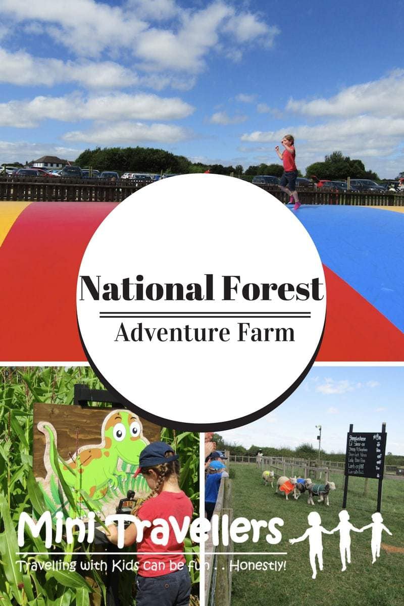 National Forest Adventure Farm - Mini Travellers - Family Travel ...