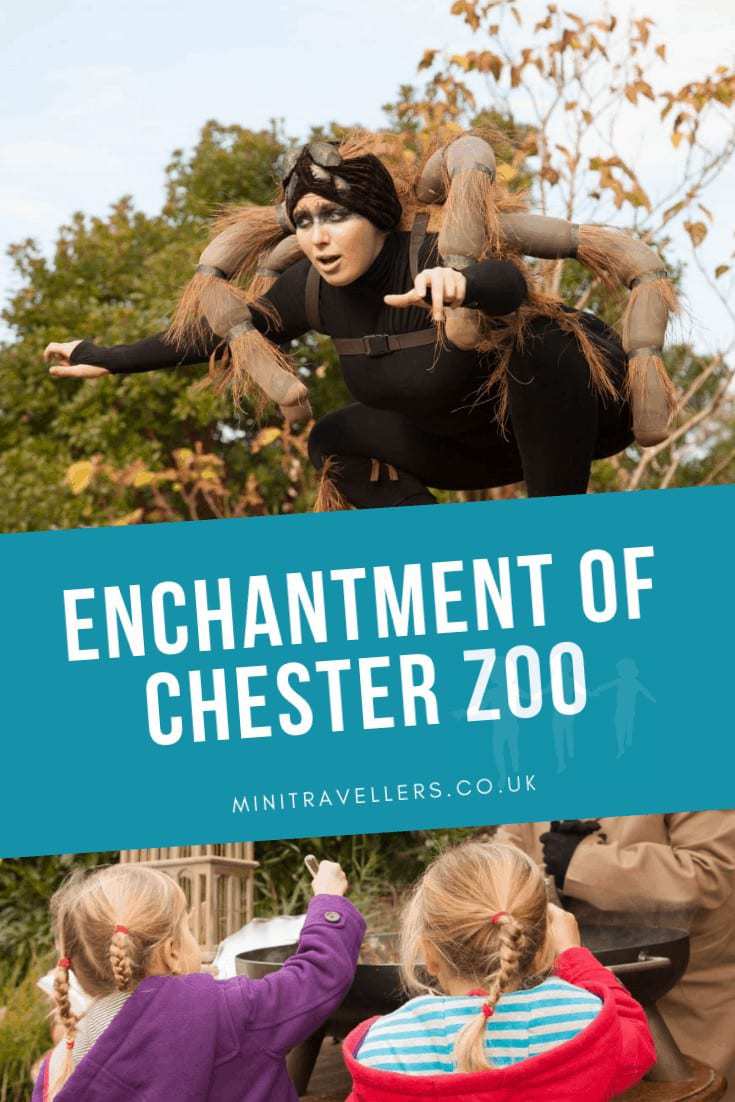 Review of The Enchantment of Chester Zoo - Mini Travellers - Family ...