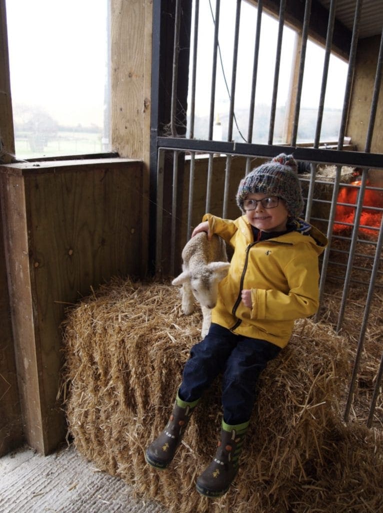 Tredethick Farm Cottages, Cornwall in Winter - Mini Travellers - Family ...