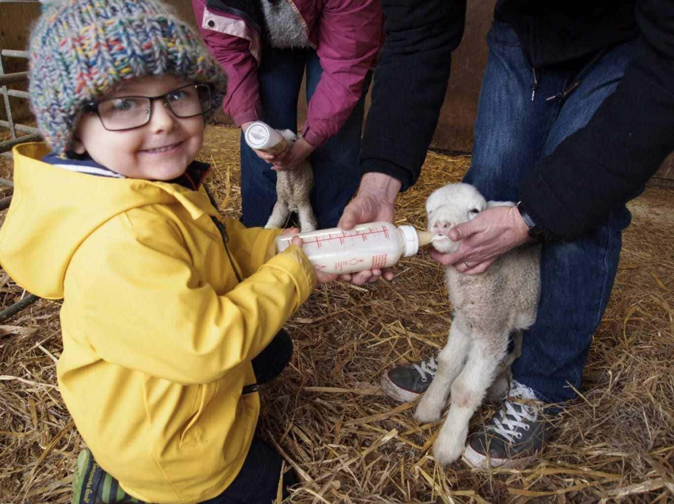 Tredethick Farm Cottages, Cornwall in Winter - Mini Travellers - Family ...