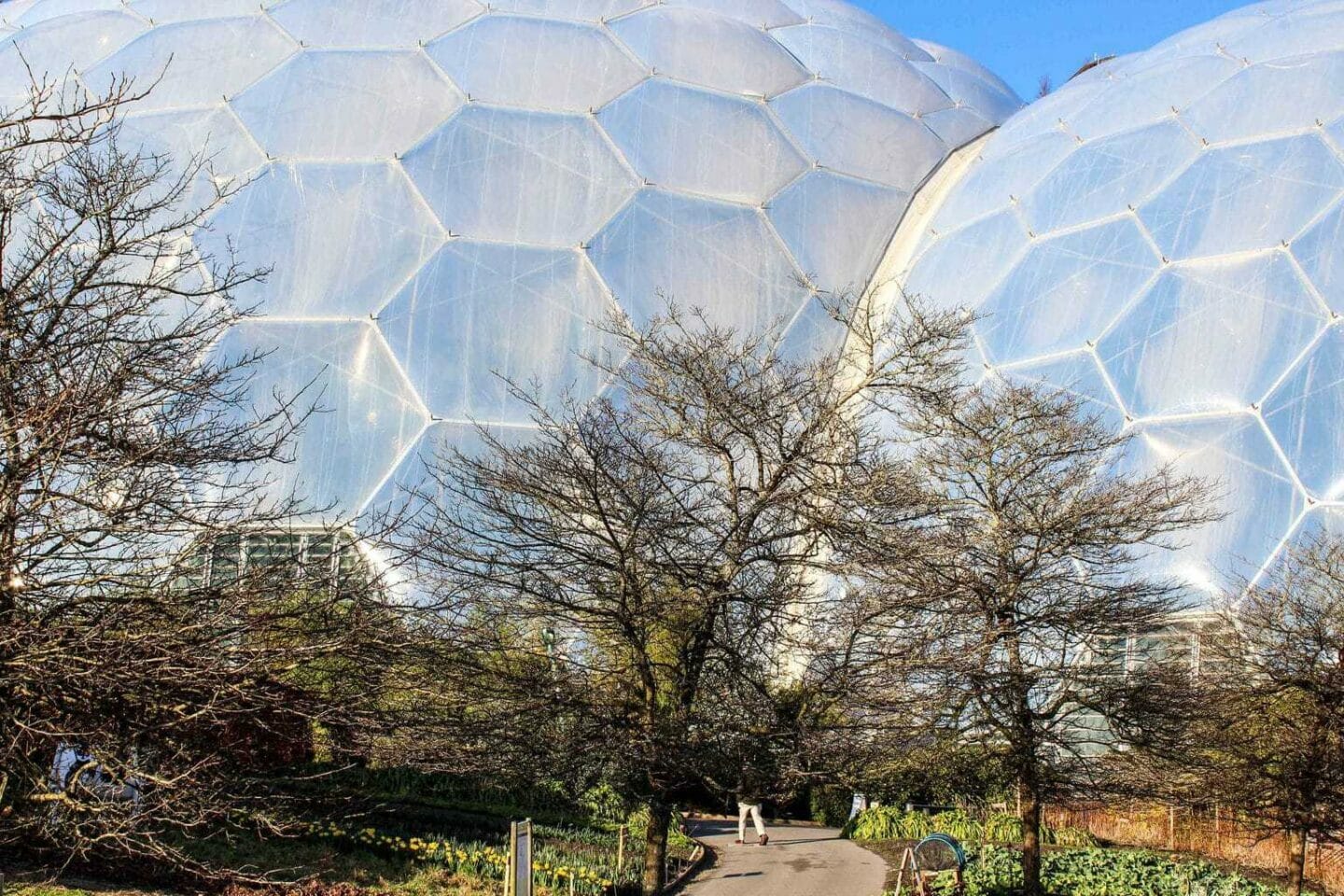 Should you visit The Eden Project with Kids Under 8? - Mini Travellers ...