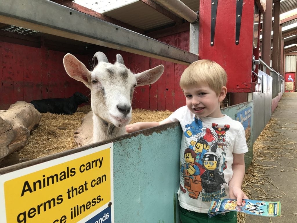 Stay Play Explore Leicester | Weekend Away with the Kids - Mini ...