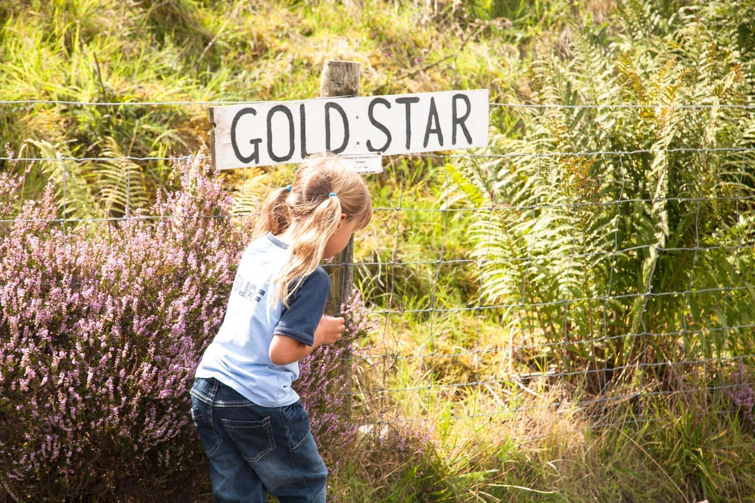 Threlkeld Quarry and Mining Museum, Lake District - Mini Travellers ...