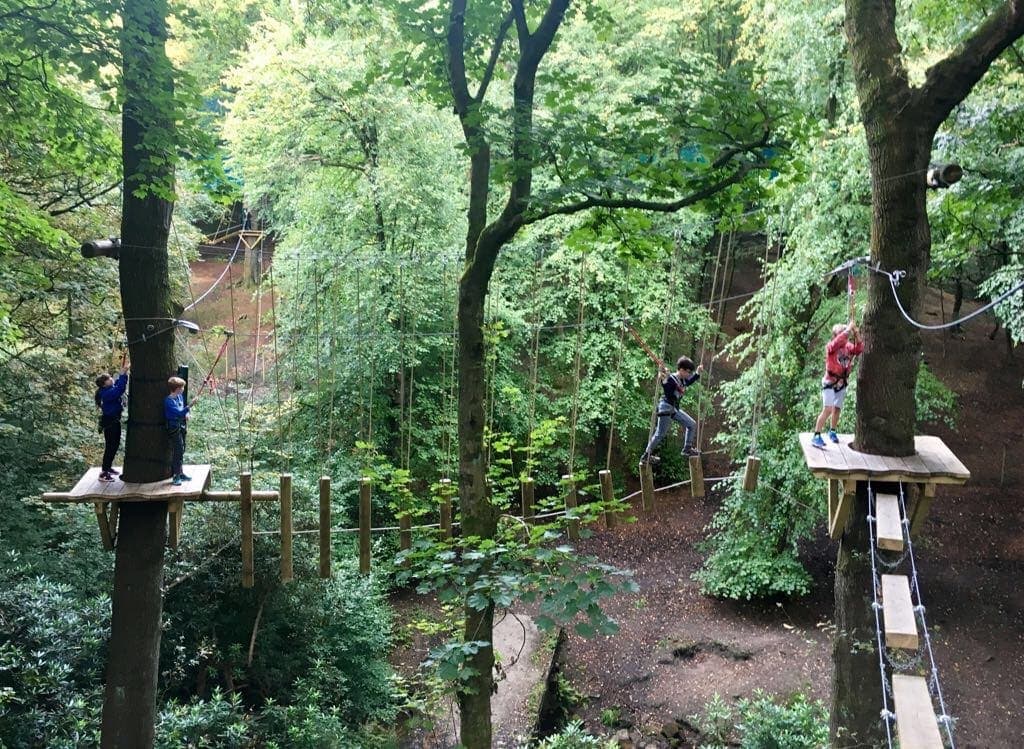 Treetop Trek | Is it a family adventure? - Mini Travellers - Family ...