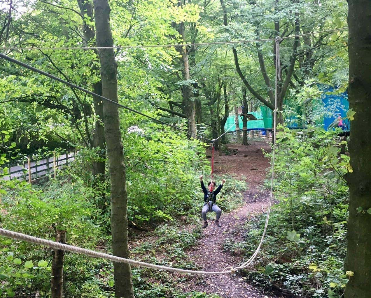 Treetop Trek | Is it a family adventure? - Mini Travellers - Family ...