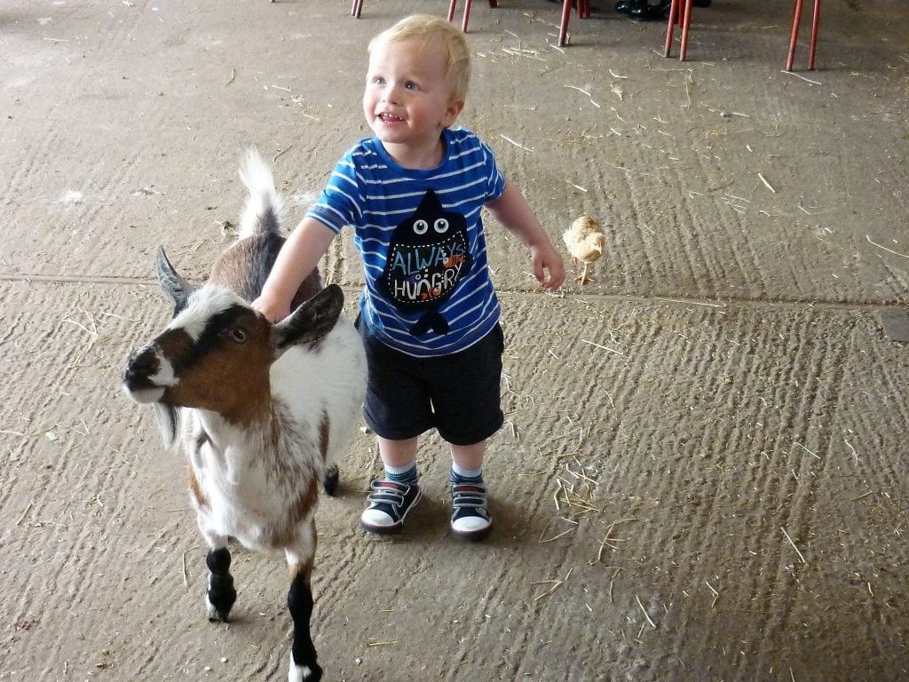 10 Things to do in Nottinghamshire with Kids - Mini Travellers - Family ...