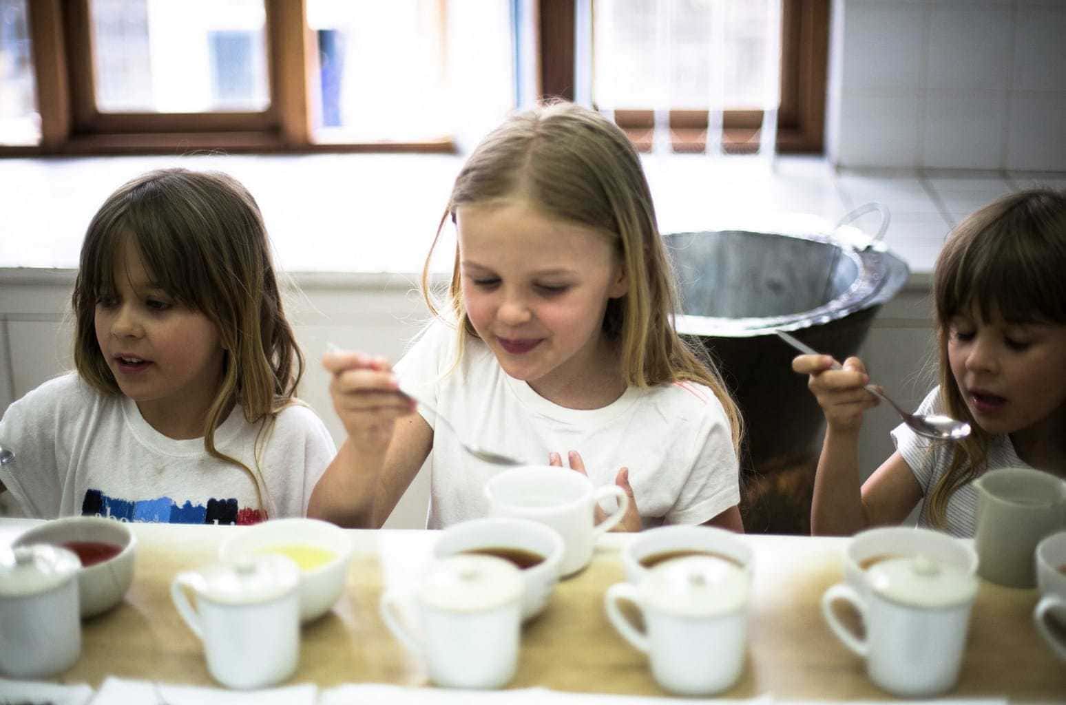 Satemwa Tea Estate with Kids - Mini Travellers - Family Travel & Family ...