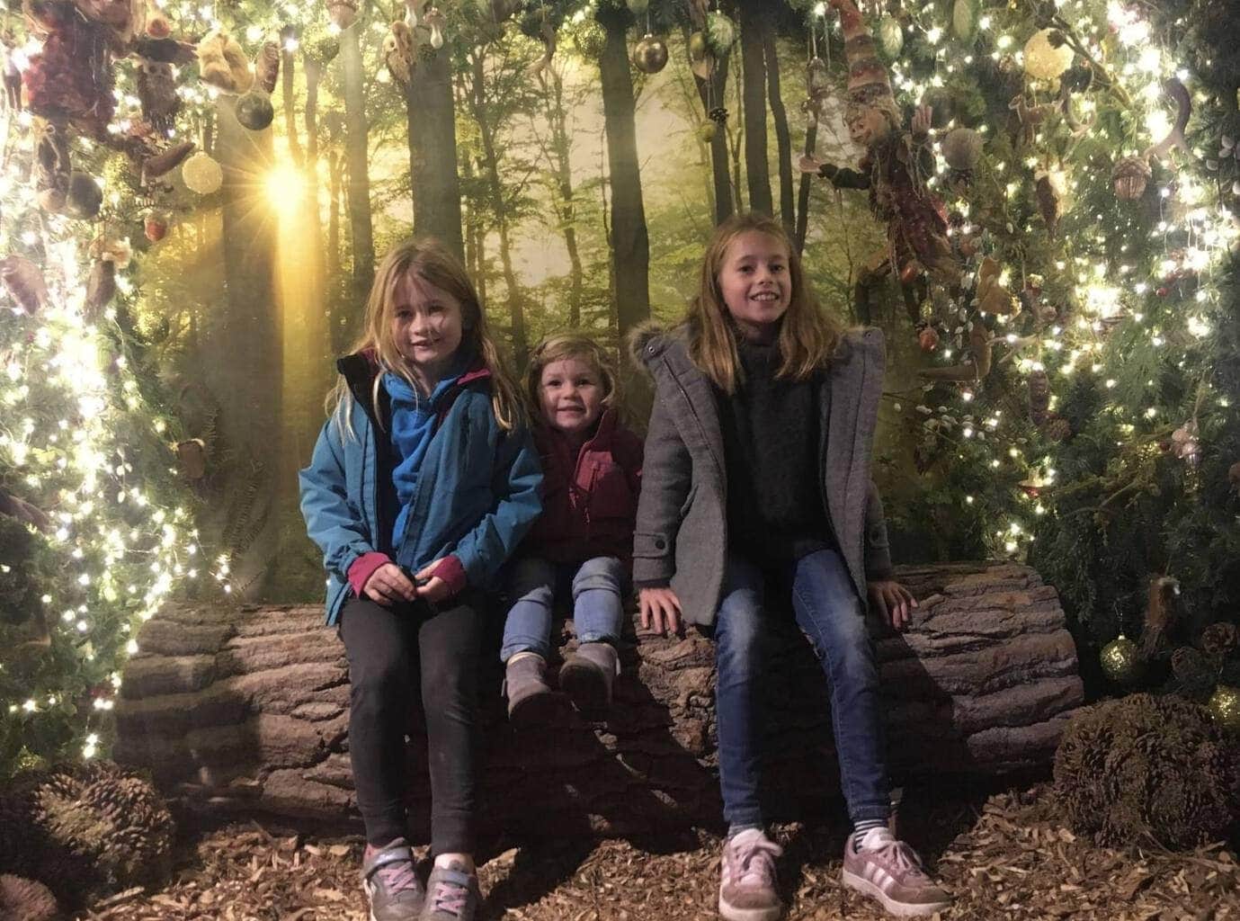 Santa’s Spectacular at Willow’s Activity Farm - Mini Travellers ...