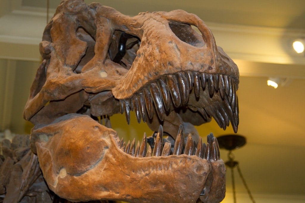 The Best Child-Friendly Museums in Europe - Mini Travellers - Family ...