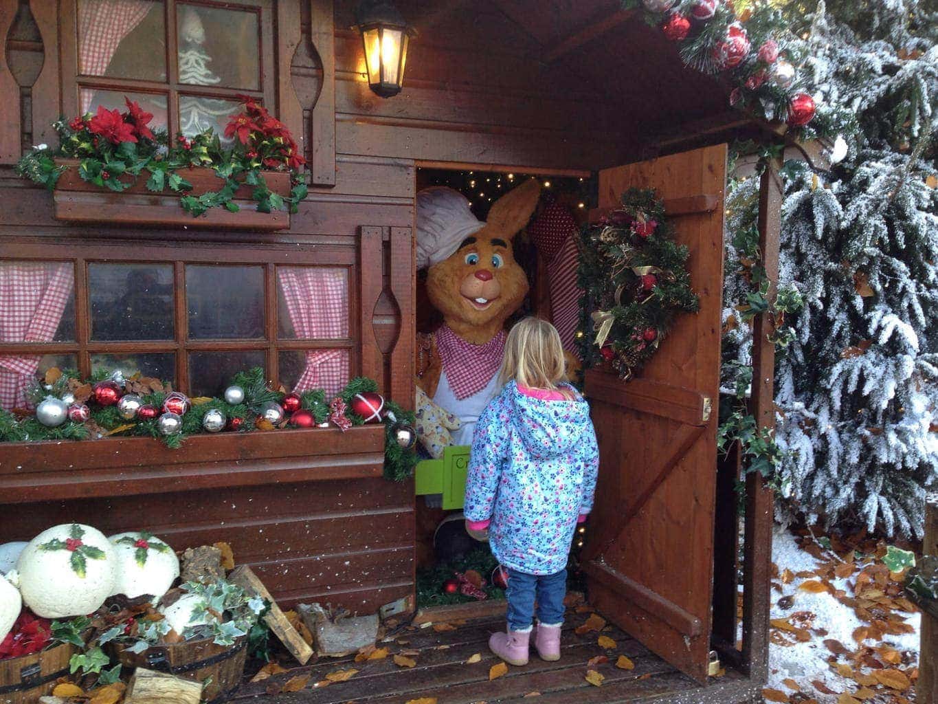 Ultimate Family Guide To Center Parcs - Mini Travellers - Family Travel ...