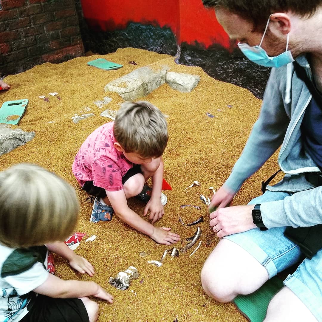 Is it worth buying a Jorvik Group triple ticket? - Mini Travellers ...