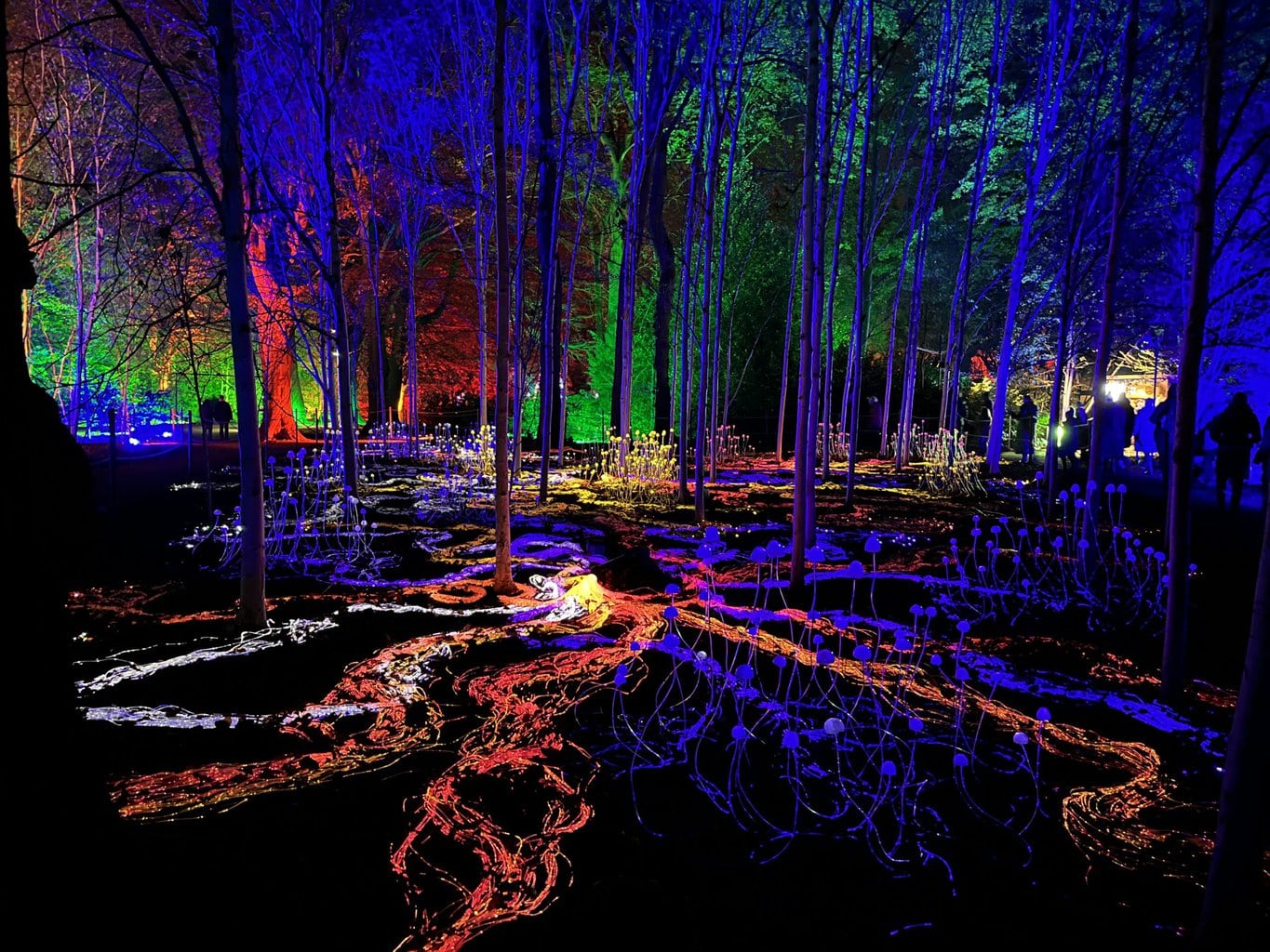 Dunham Massey Christmas Lights - Mini Travellers - Family Travel ...