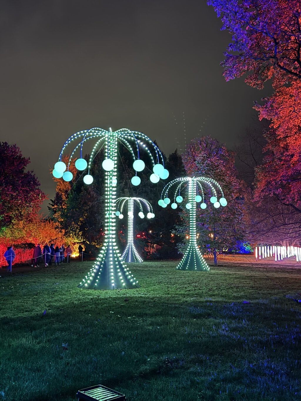 Dunham Massey Christmas Lights - Mini Travellers - Family Travel ...