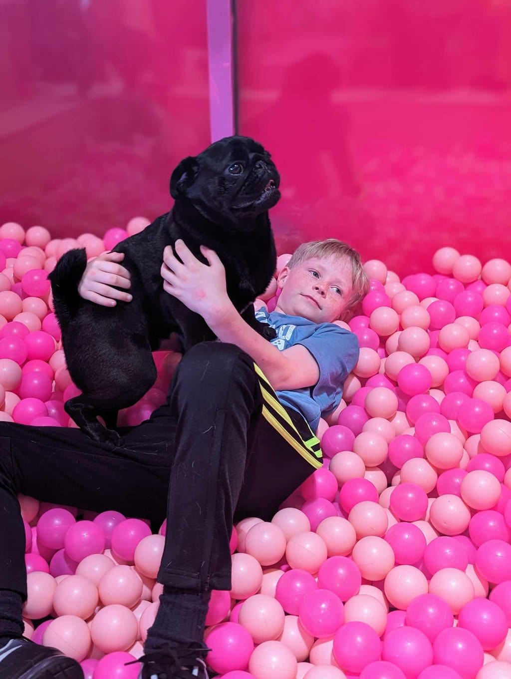 CuppaPug in Manchester | Review - Mini Travellers - Family Travel ...
