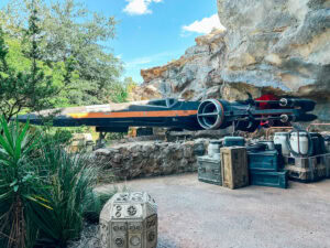 List of Single Rider Lines At Disney World in Orlando - Mini Travellers ...