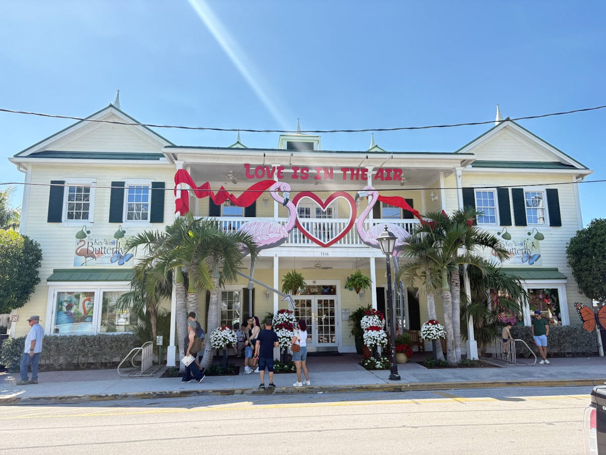 What To Do In Key West With Kids - Mini Travellers - Family Travel ...