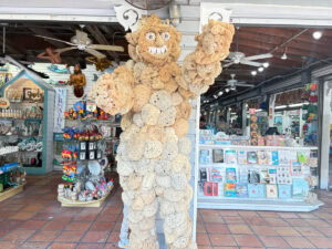 What To Do In Key West With Kids - Mini Travellers - Family Travel ...